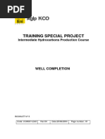 Training Document Openwells - Final | PDF | Login | User (Computing)
