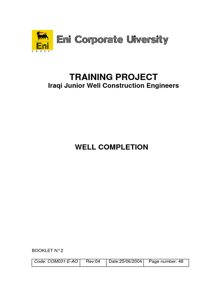 Well completion-ENI-2 | PDF