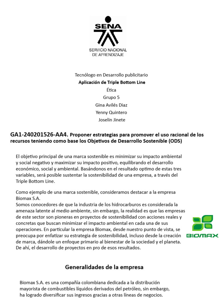 Triple Botton Line | PDF