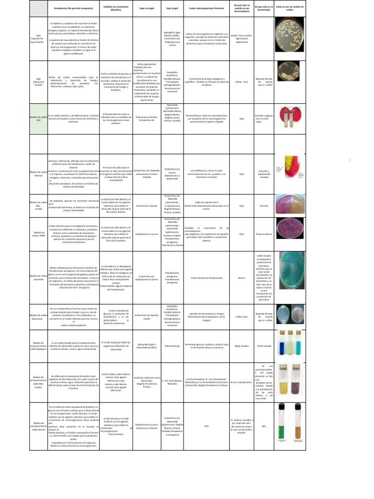 Tabla de Micro | PDF