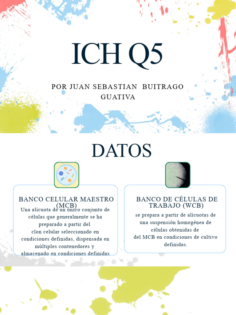 Ich Q5 | PDF