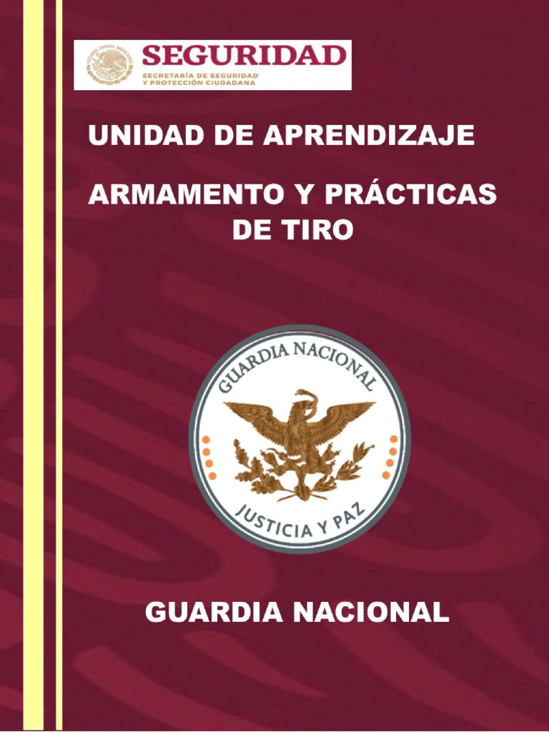 Armamento y Prácticas de Tiro Individual | PDF | Cartucho (armas de ...