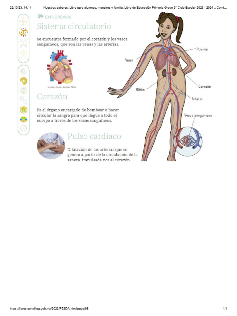 Nuestros Saberes - Libro para Alumnos, Maestros y Familia. Libro de Educación Primaria Grado 5 ...