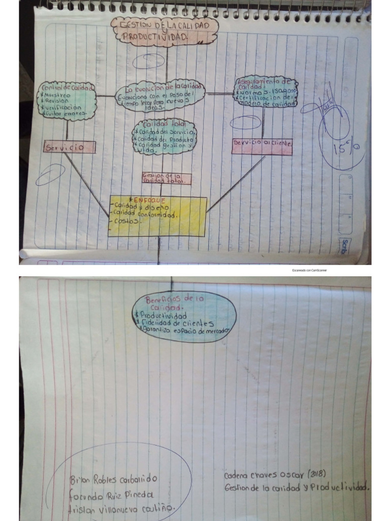 Mapa Conceptual | PDF