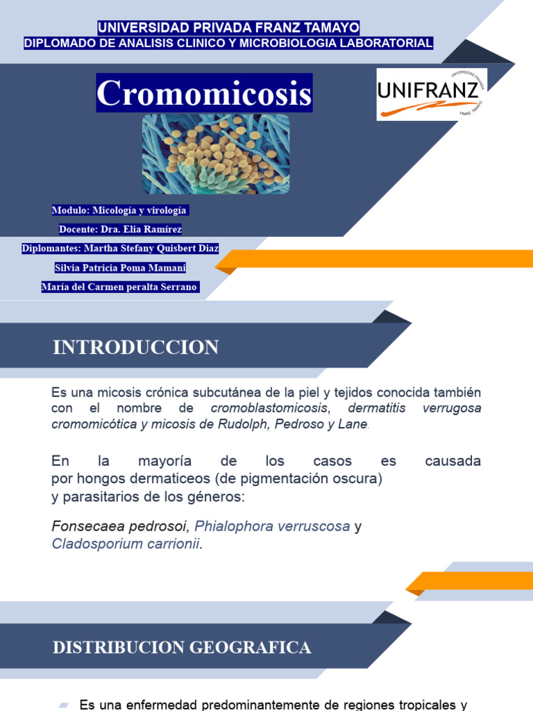 Cromomicosis Presentacion | PDF