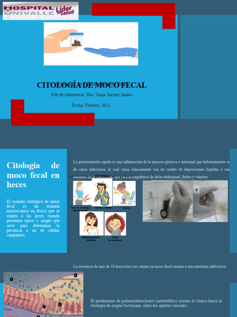 Citología de Moco Fecal.1 | PDF | Ciencia y matemáticas | Salud y bienestar