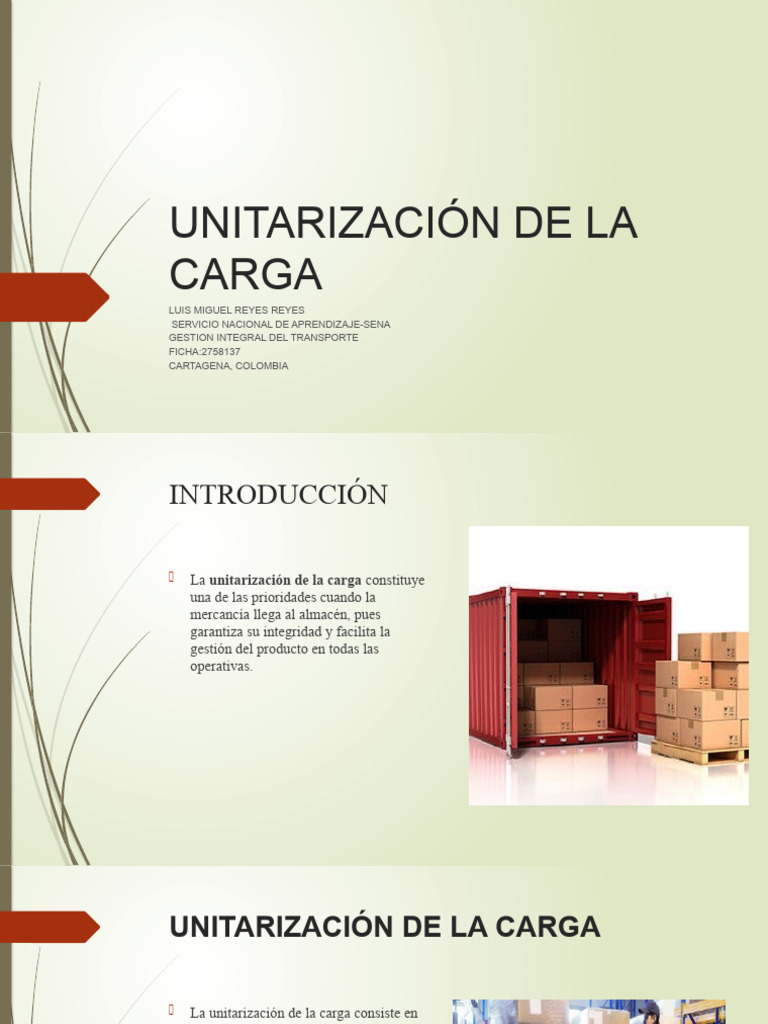 Unitarización de La Carga | PDF