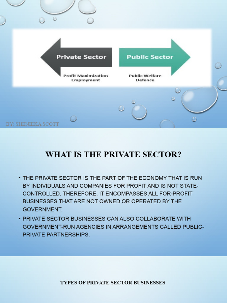 Understanding Private and Public Sectors | PDF | Business | Finance ...