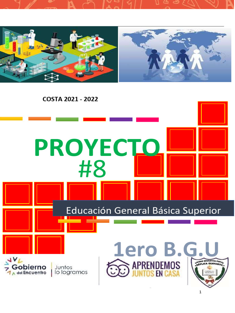 PROYECTO 8 1ero BGU | PDF
