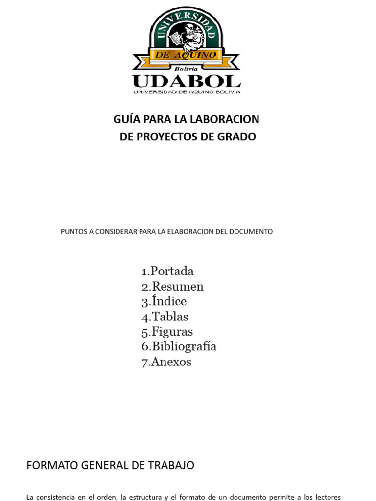Guia para La Elaboracion de Proyectos y Exámenes de Grado | PDF