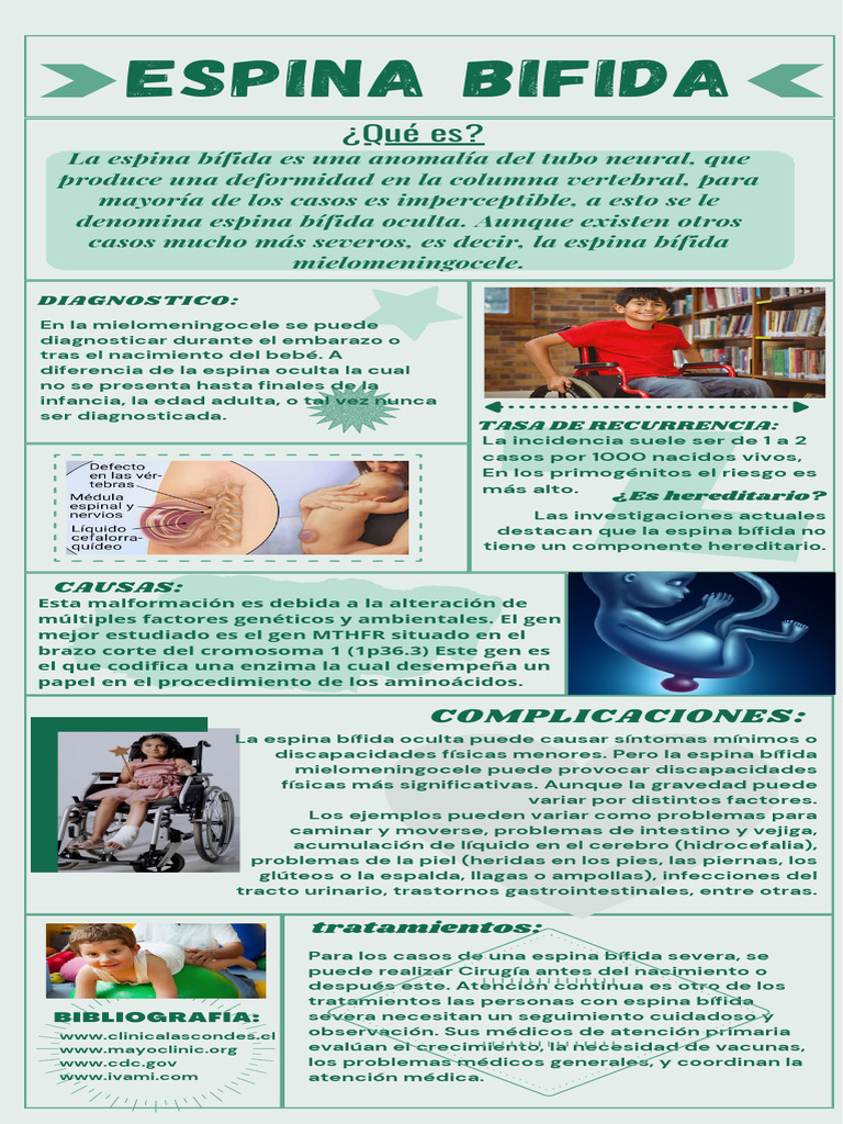 Infografía Espina Bifida | PDF
