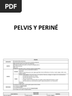 Partes De La Cavidad Pélvica Pdf Pelvis Anatomía Humana