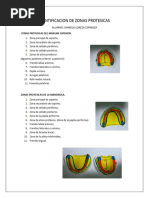 Código FDI: Guía para Odontólogos | PDF | Diente | Ramas de Odontología