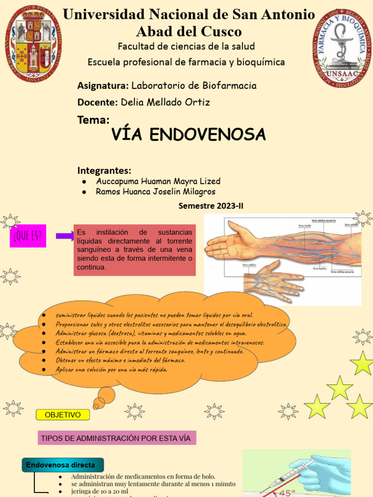 Viaa Endovenosa | PDF