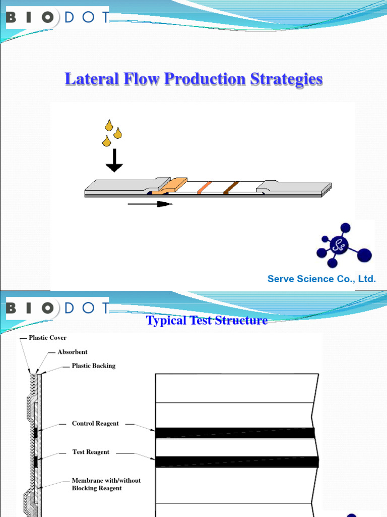 Lateral Flow Production Strategies | PDF