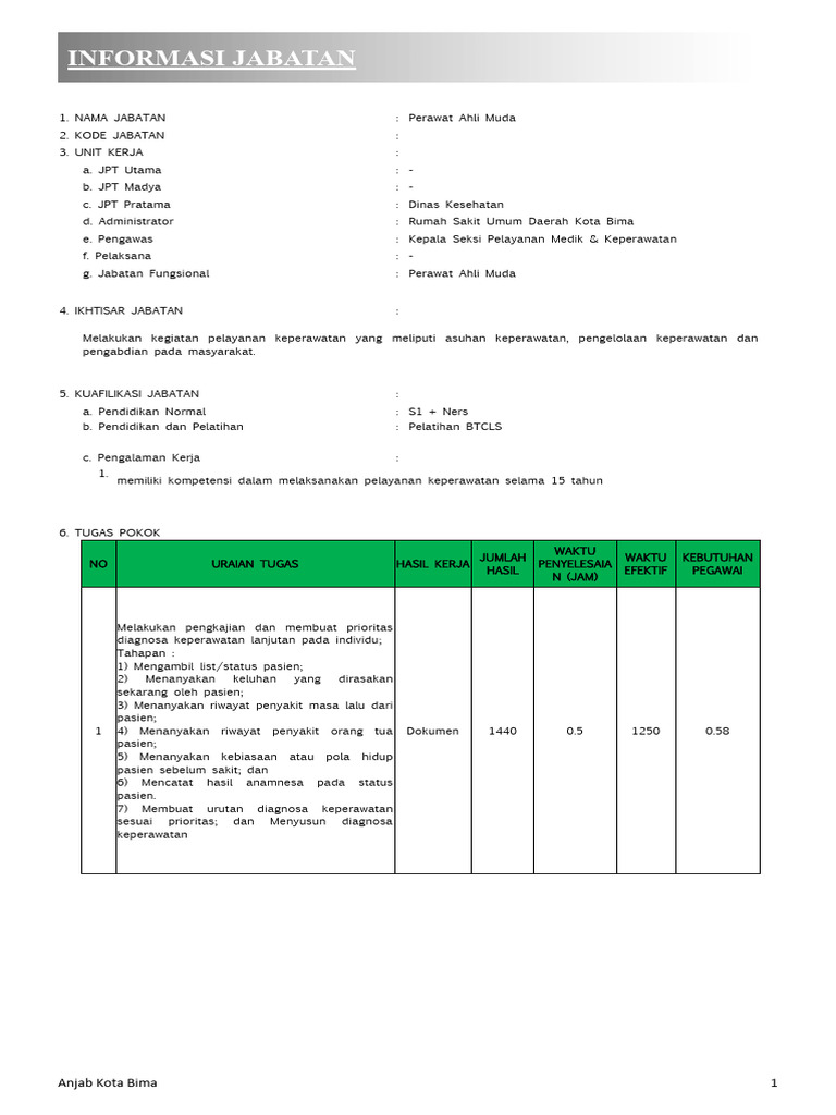 Anjab Perawat Ahli Muda Nurhidah | PDF