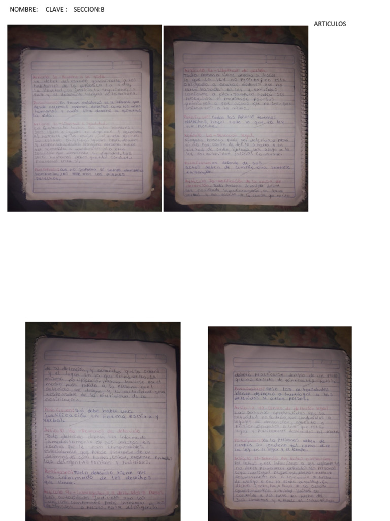 Documento de Ejemplo en Blanco | PDF