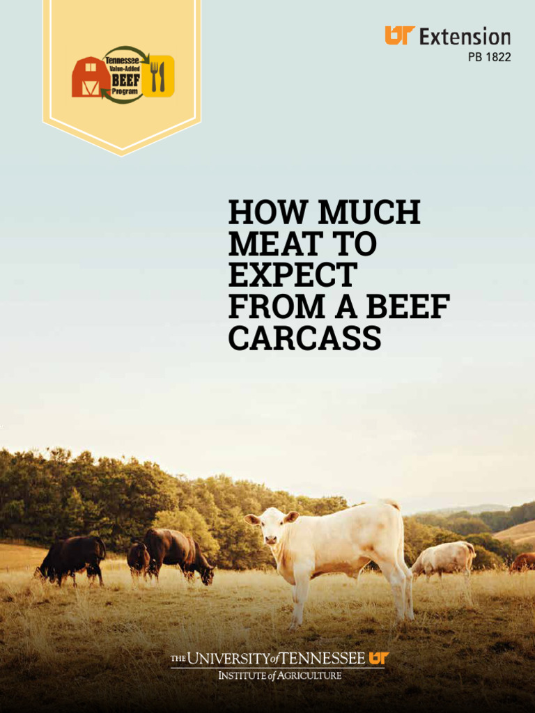 PB1822 How Much Meat To Expect From A Beef Carcass | PDF