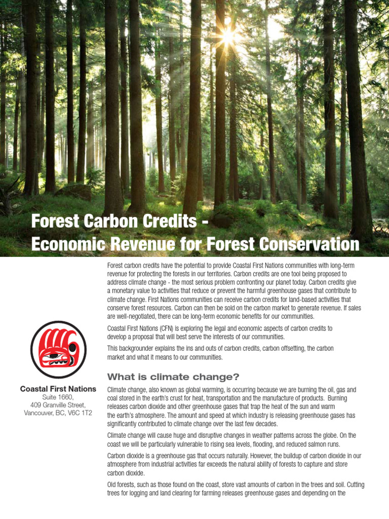 Forest Carbon Credits Info Brochure | PDF | Home & Garden | Technology & Engineering