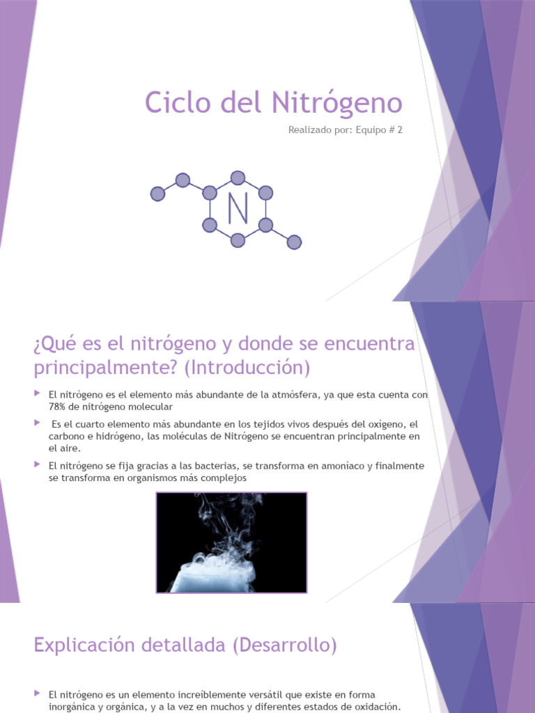 Ciclo Del Nitrogeno | PDF