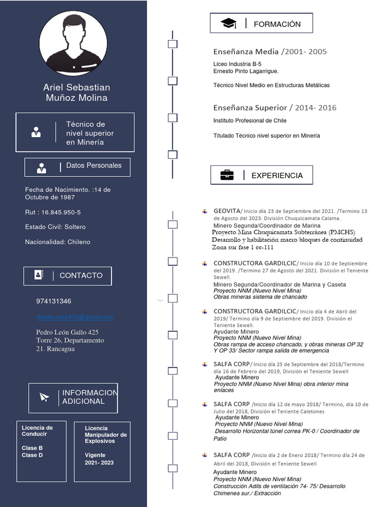 Curriculum Ariel Muñoz | PDF