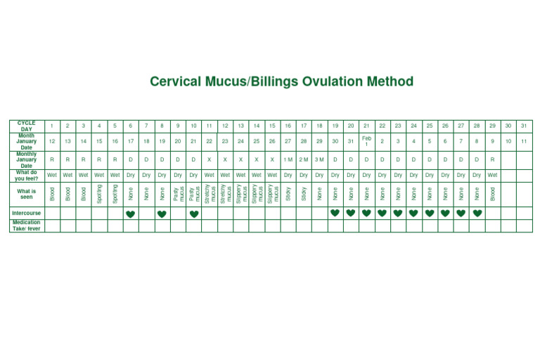 Cervical Mucus Chart for Ovulation | PDF