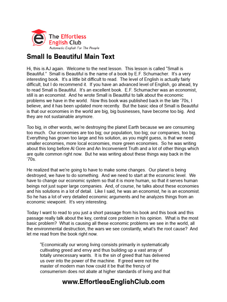 Understanding Schumacher's Small Is Beautiful | PDF