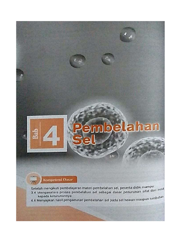 LKPD P10 Kls XII (Pembelahan Sel) | PDF