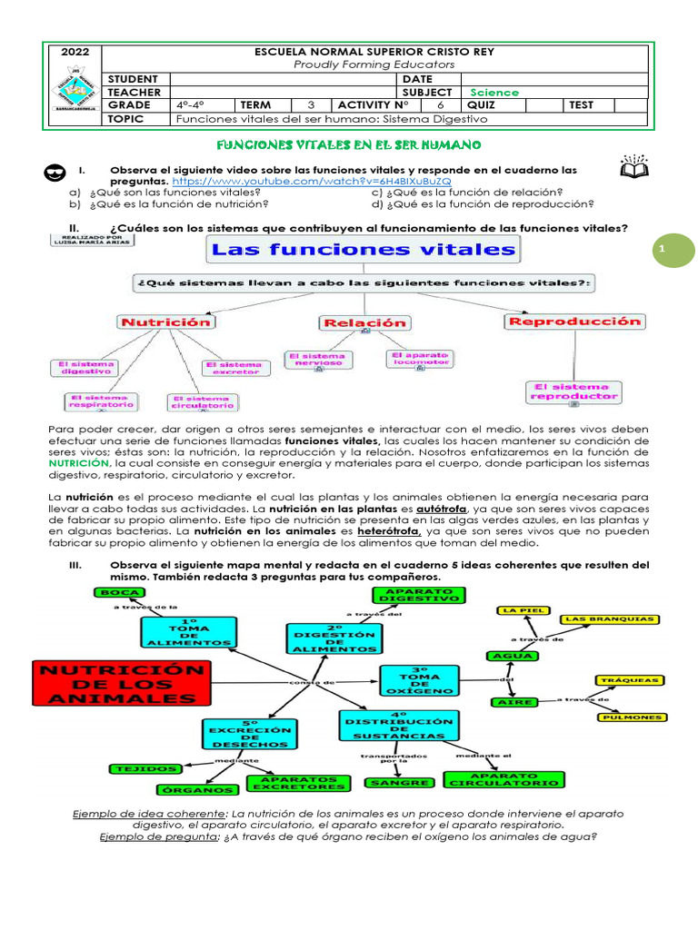 A. 6 Science. Funciones Vitales de Los Seres Vivos | PDF