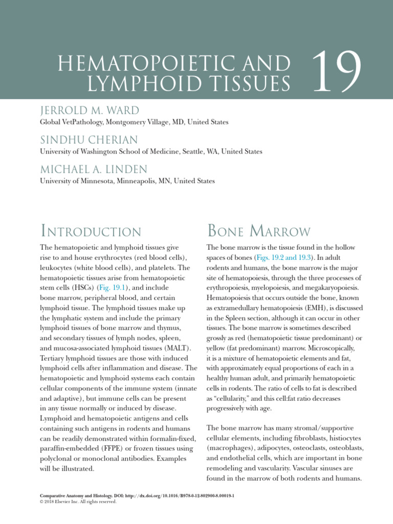 19 - Hematopoietic and Lymphoid Tissues | PDF