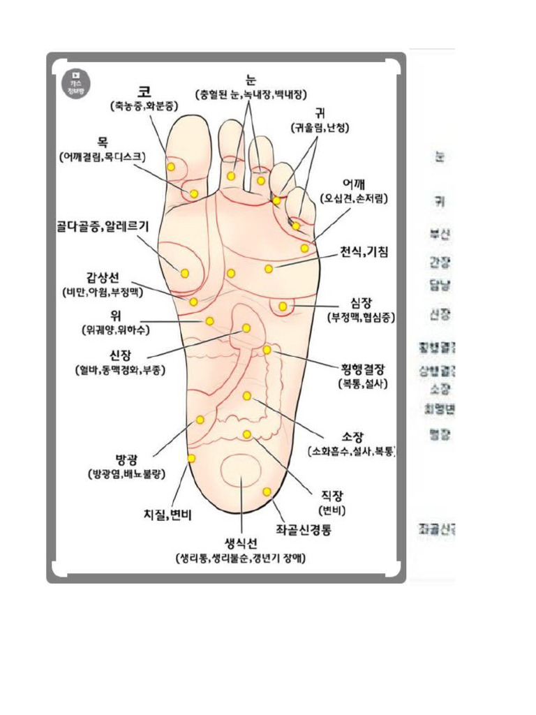발바닥 혈자리 Pdf