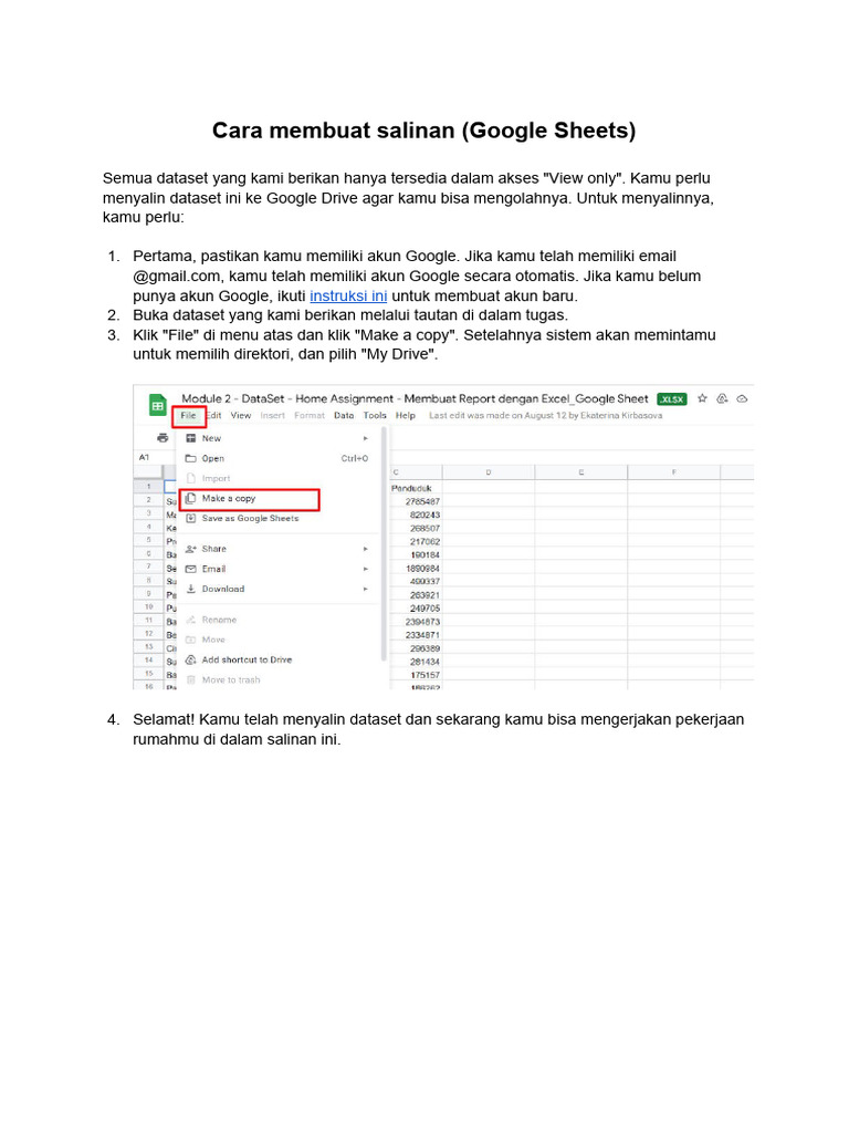 Instructions How To Make A Copy In Google Sheets PDF