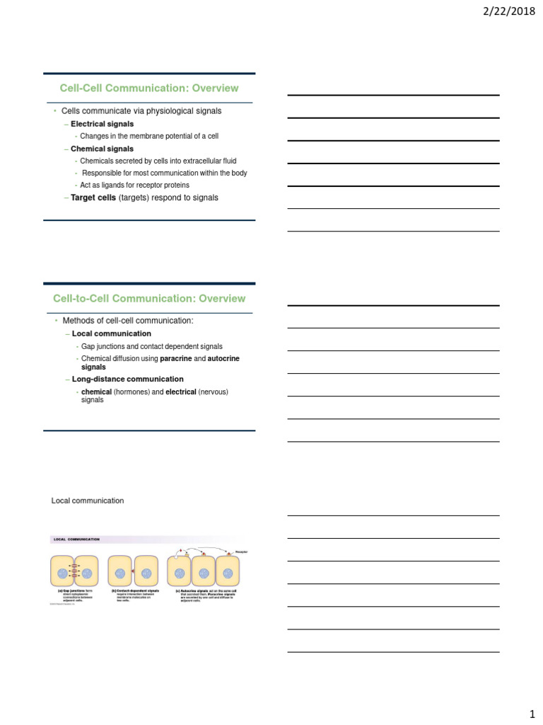 Chapter 06 (Lecture Slides) | PDF Chapter 06 (Lecture Slides) | PDF