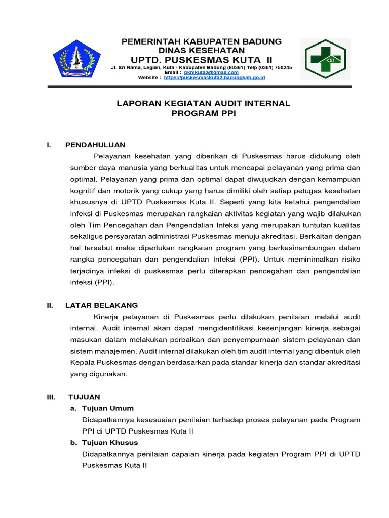 Laporan Audit Ppi | PDF