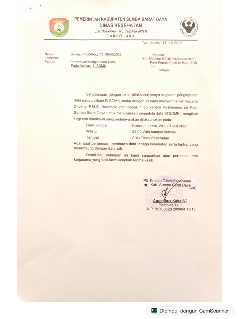 Penginputan Data SISDMK | PDF