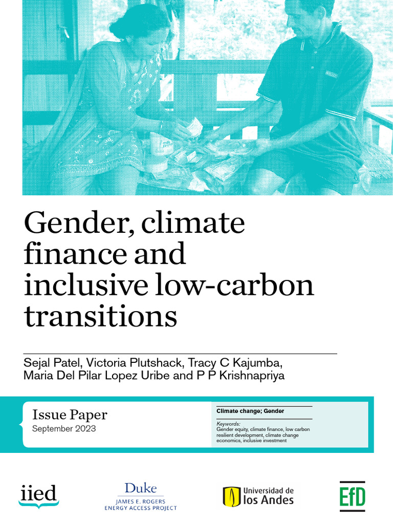 Low Carbon Transition | PDF