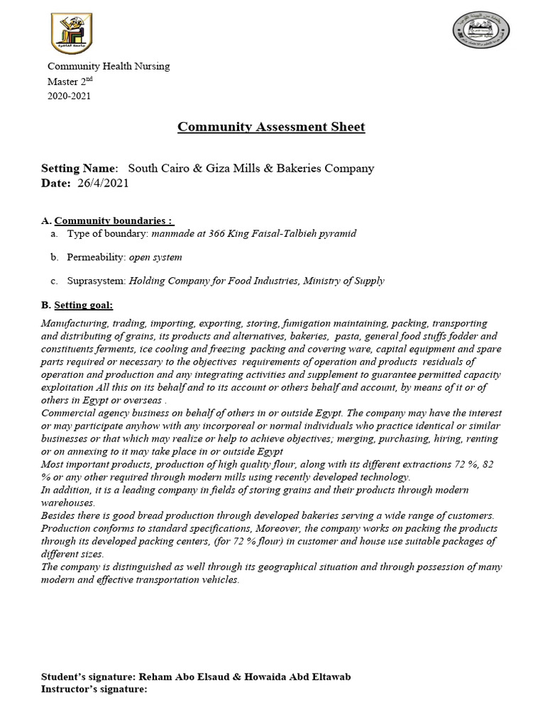 Community Assessment - Final | PDF
