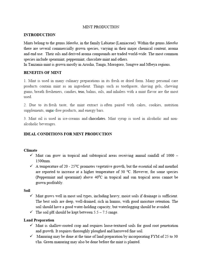 Mint Production and Processing Guide | PDF