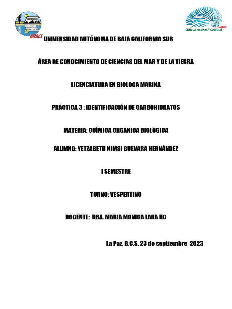 QB - Yetzabeth Nimsi Guevara Hernández - Practica 4 - Identificación de Carbohidratos | PDF