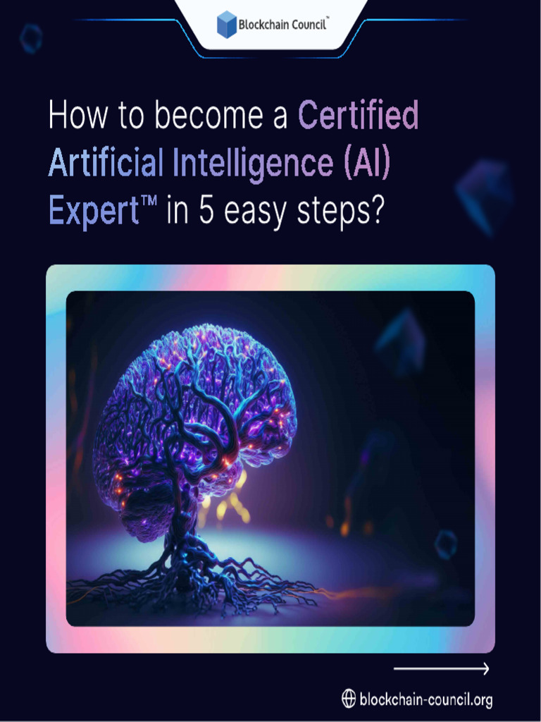 How To Be AI Expert | PDF
