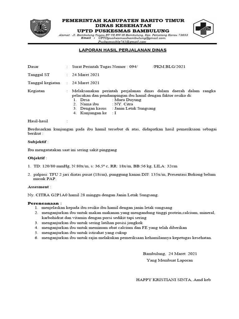 Laporan Hasil Bumil Resti 2021 | PDF