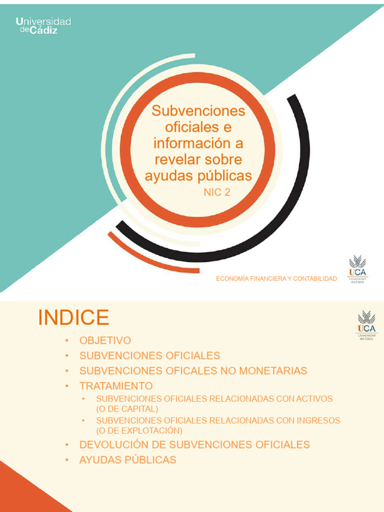 Nic 20 Subvenciones Oficiales e Información A Revelar Sobre Ayudas ...
