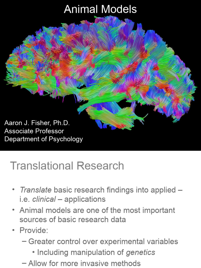 Animal Models in Translational Research | PDF