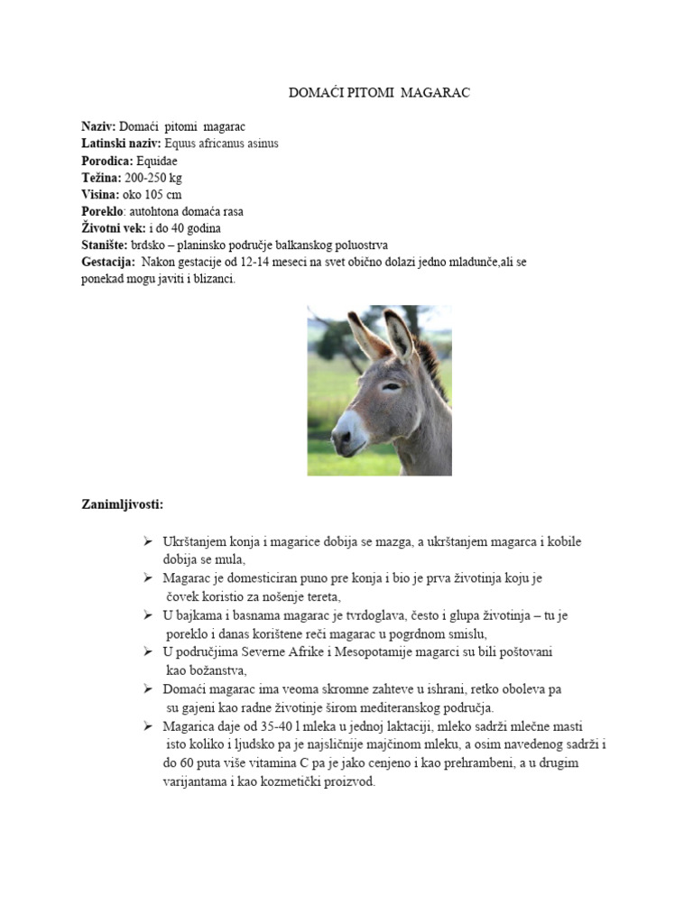 Magarac | PDF