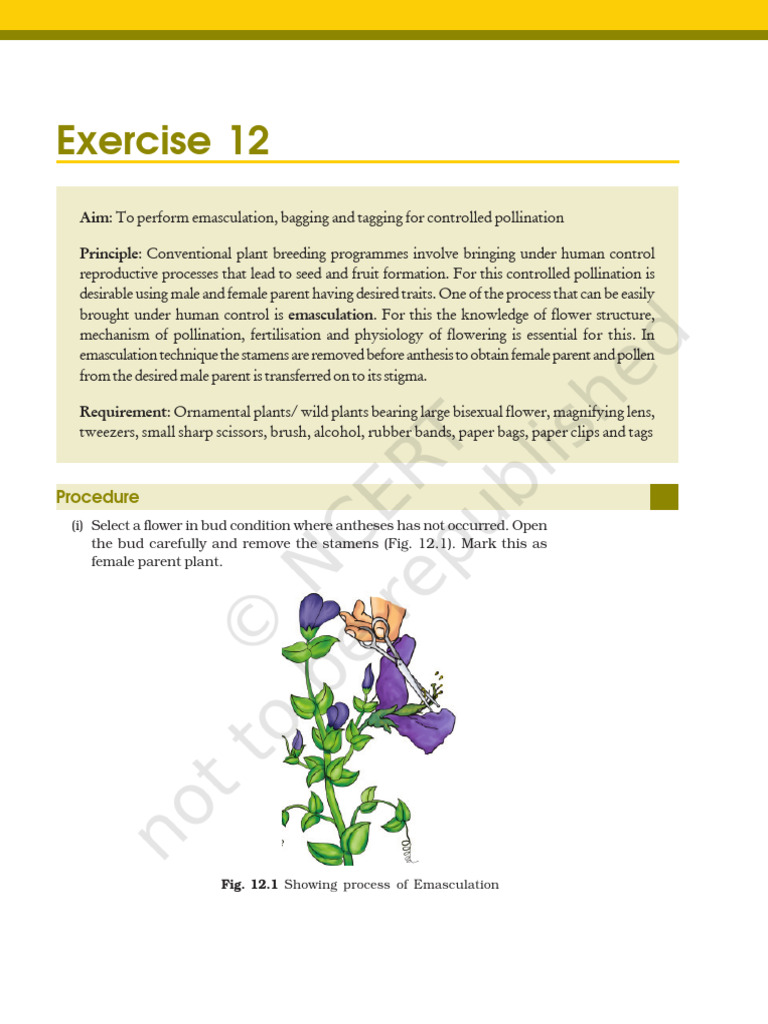 Bio Lab Record Exp | PDF