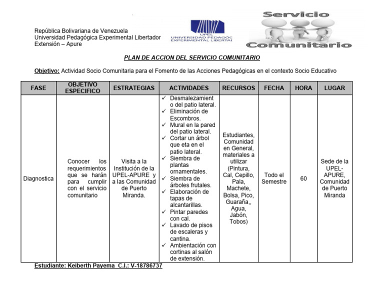 Plan de Accion Comunitario Alejandra | PDF