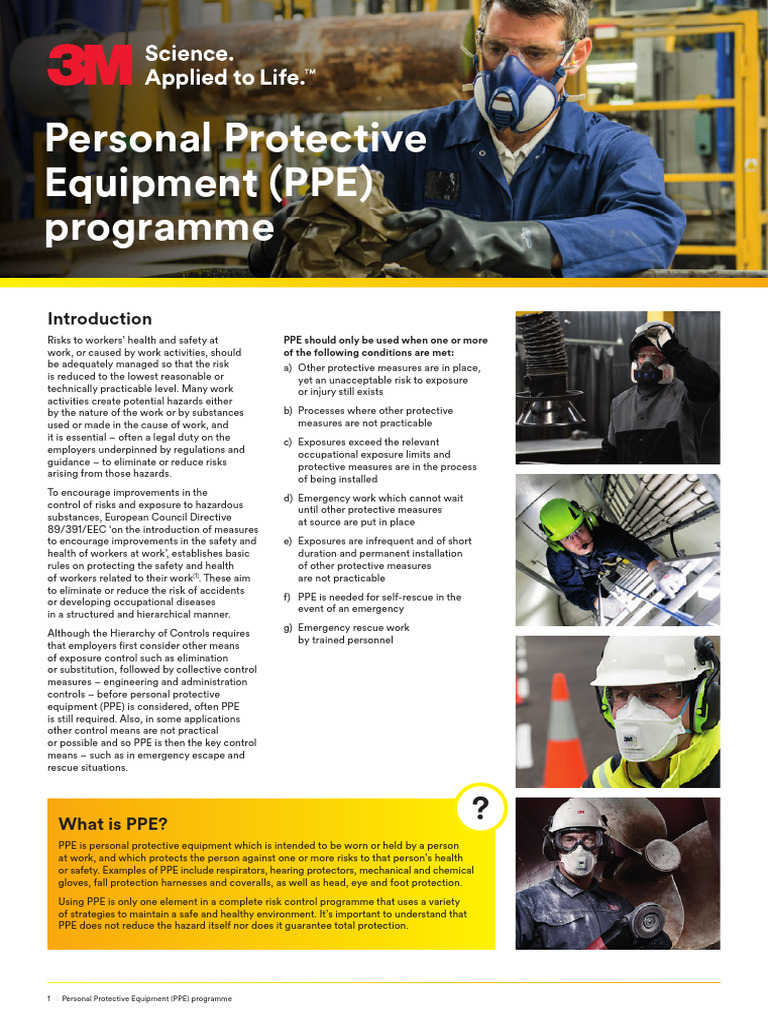 Personal Protective Equipment (PPE) Programme | PDF