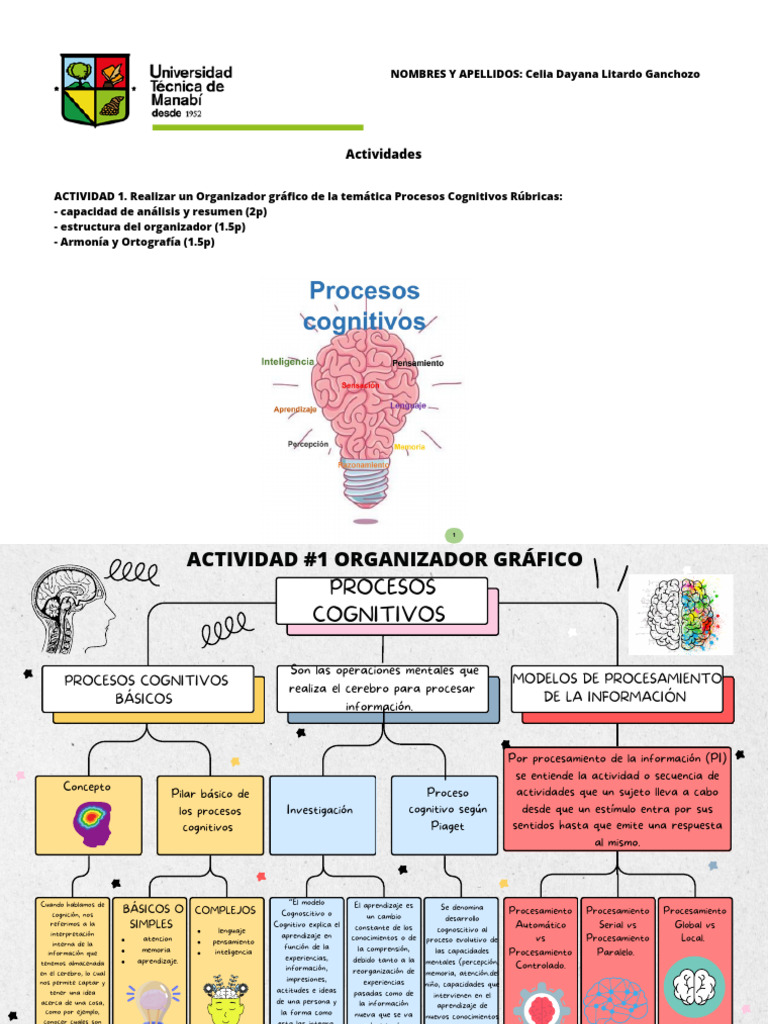 Organizadores Gráficos de Procesos Cognitivos | PDF | Percepción ...