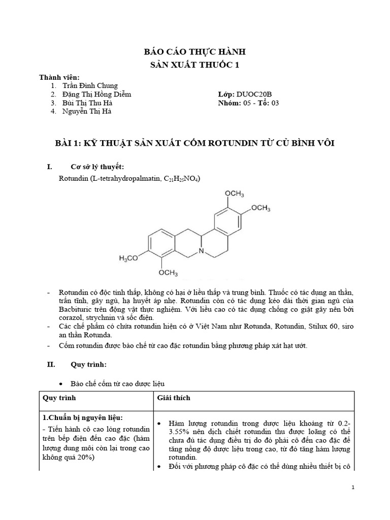 SXT Rotundin Buoi2 | PDF