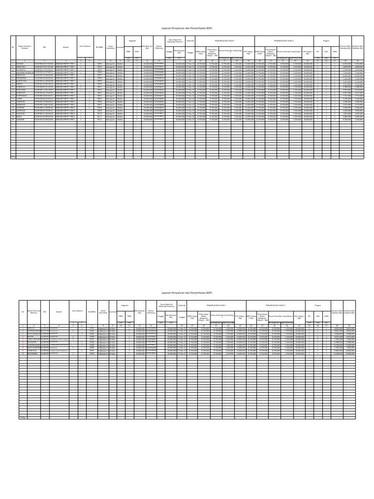 Format Laporan Penyaluran Dan Pemanfaatan BSPS | PDF
